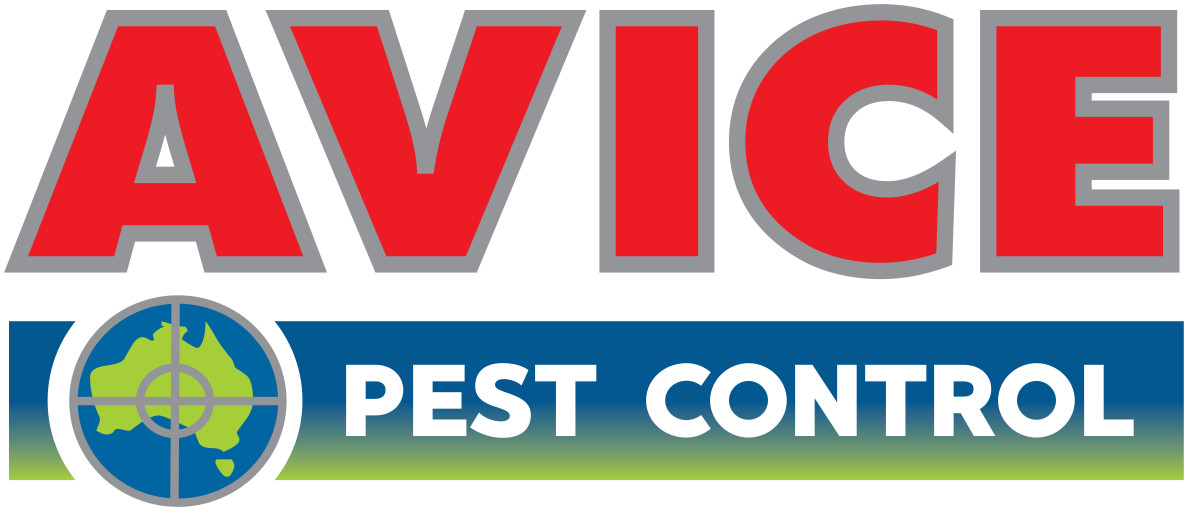 Avice Pest Control Service | Rapid Effective Treatment